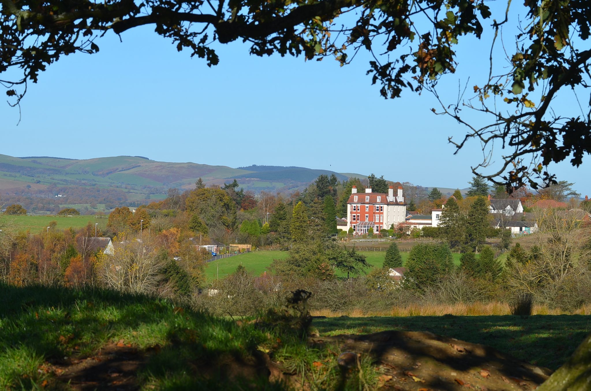 Guest Facilities - Highland Moors
